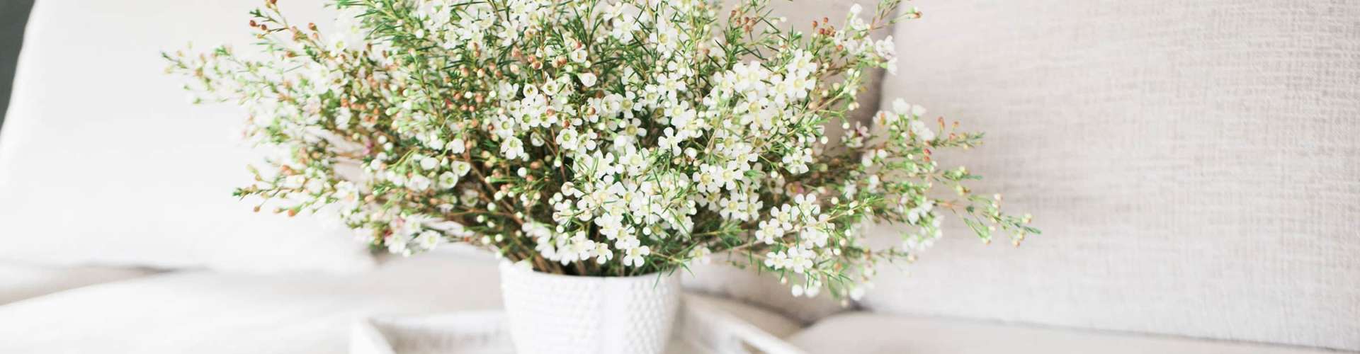 Ally's Kitchen | Bohemian Bold thinking.fooding.living.®