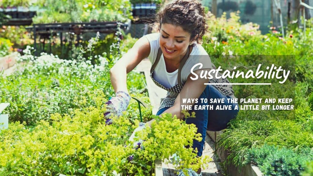 Ways To Bring Sustainability Into Your Life